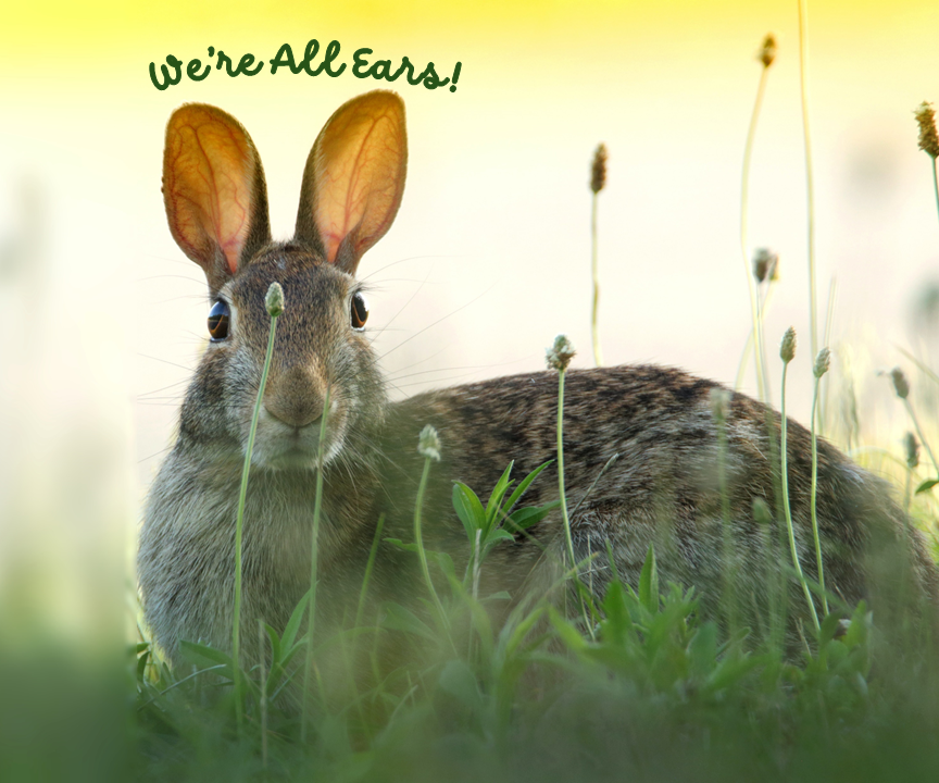 Brattleboro Hearing Center - Comprehensive hearing evaluation from ...